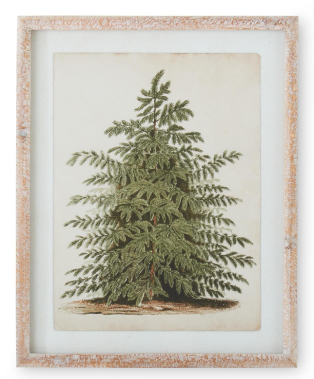 Natural Carved Wood Framed Pine Tree Print Assorted – House to Home ...