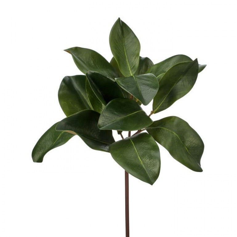 Natural Touch Magnolia Leaf Spray 16" – House to Home Creations / H2H ...