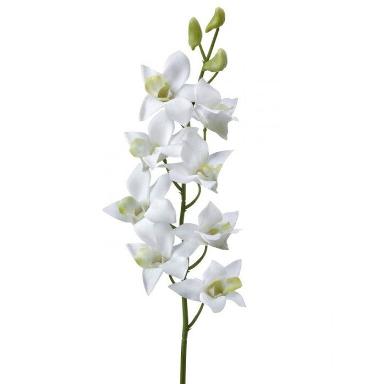 White Just Cut Dendrobium Orchid 27" – House to Home Creations / H2H ...