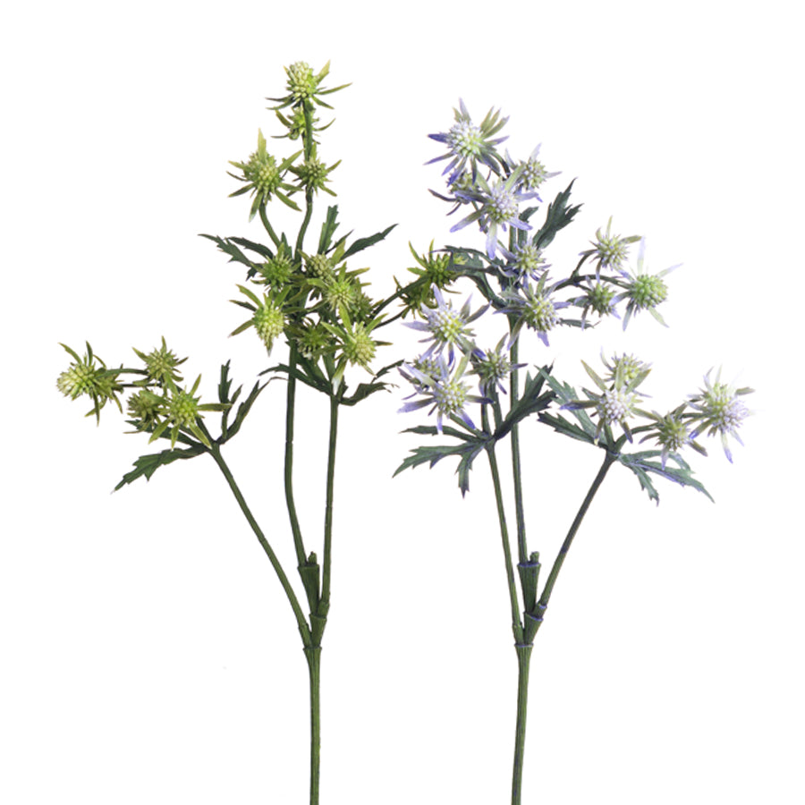 Thistle Assorted 25" – House to Home Creations / H2H Apparel